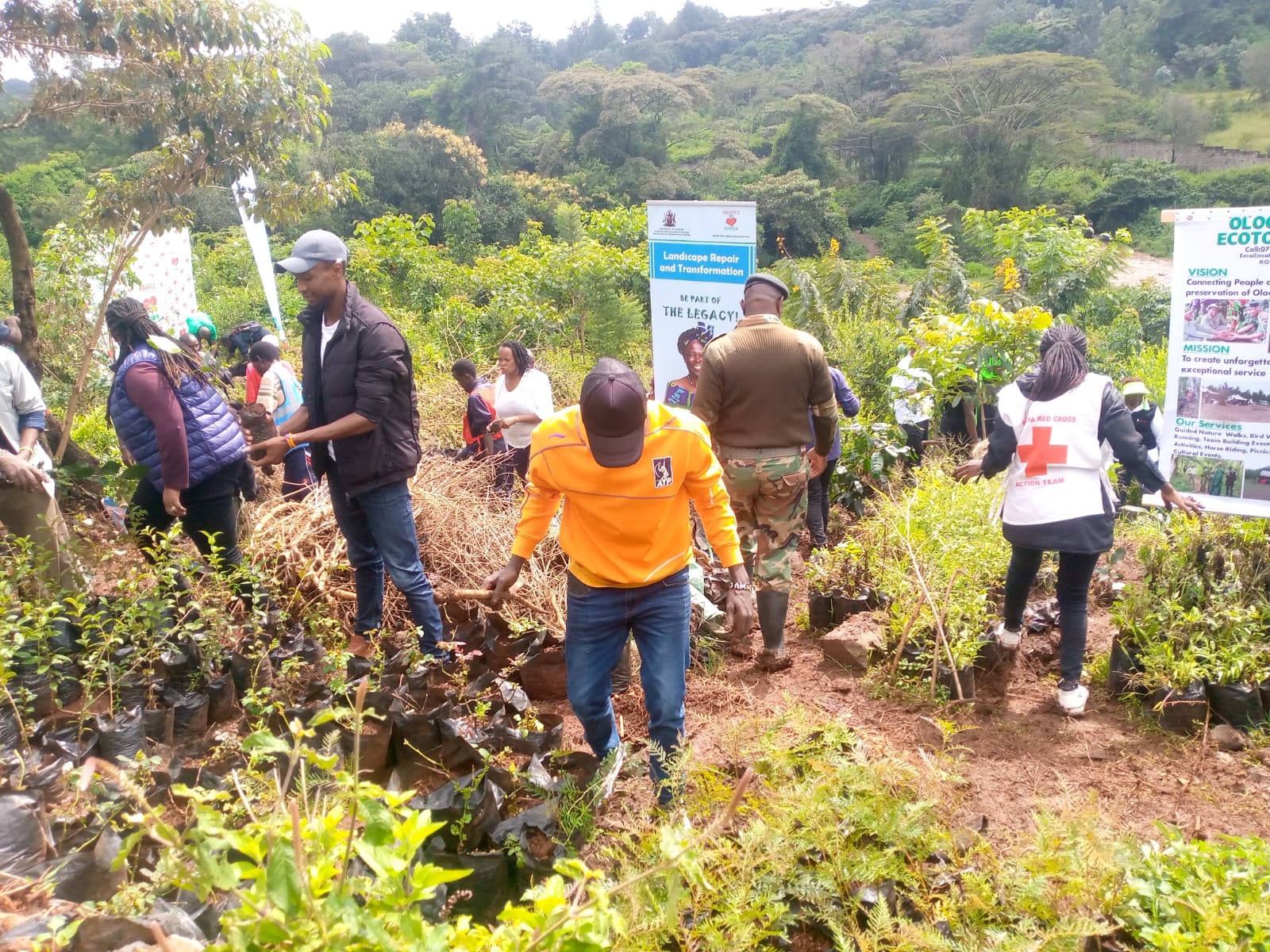 WMI Participates in this Year's World Environment Day | Wangari Maathai ...