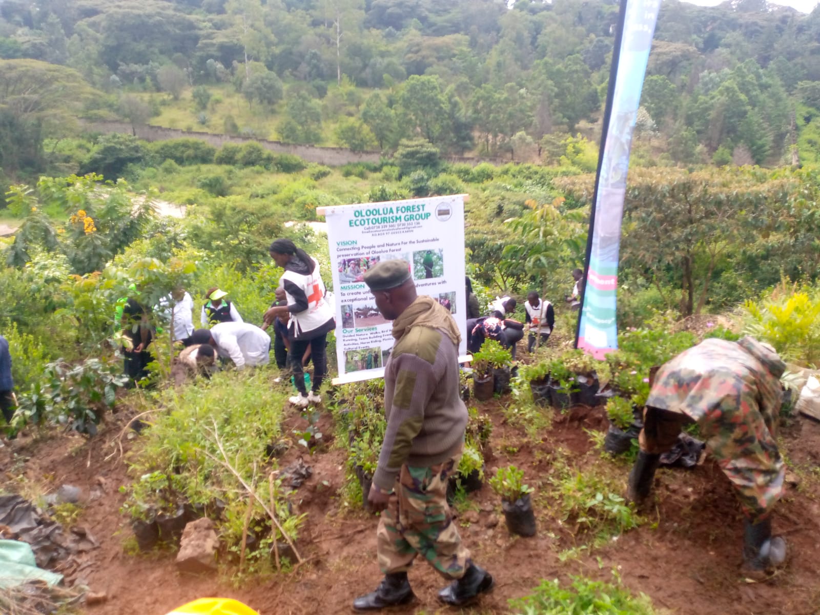 WMI Participates in this Year's World Environment Day | Wangari Maathai ...